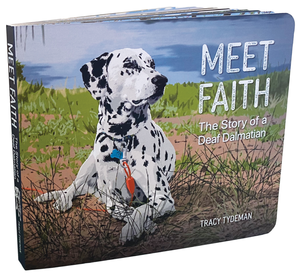Meet Faith Board Book - Spots of Joy
